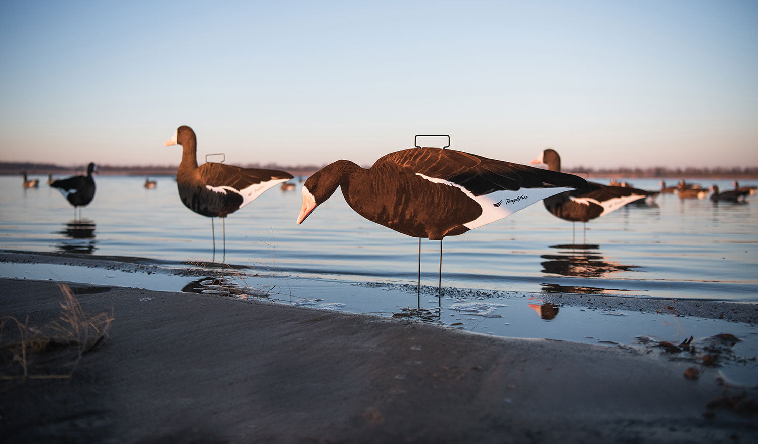 Fully Flocked Skinny Decoys – Tanglefree Shop