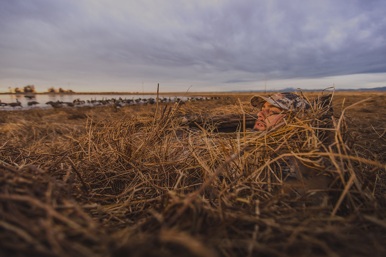 Layout Blinds – Tanglefree Shop