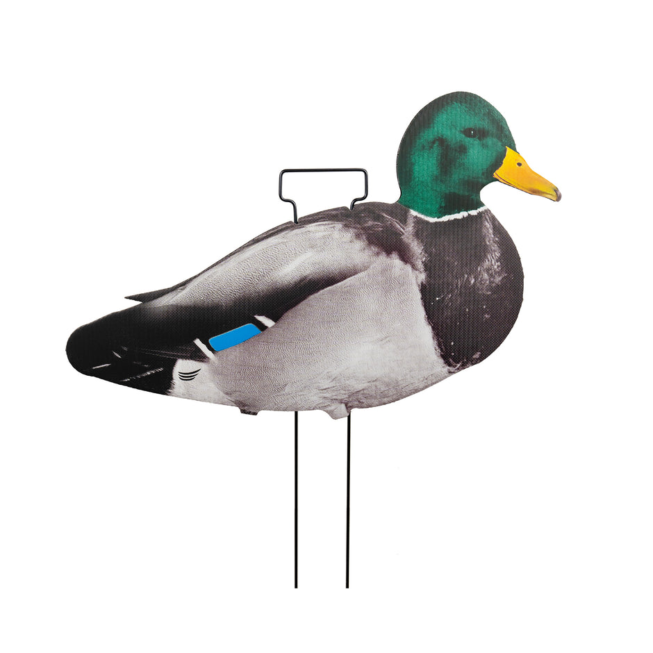 Decoys – Tanglefree Shop