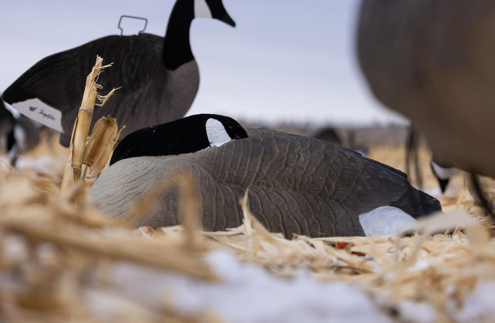 Pro Series Canada Goose Sleeper Shell – Tanglefree Shop