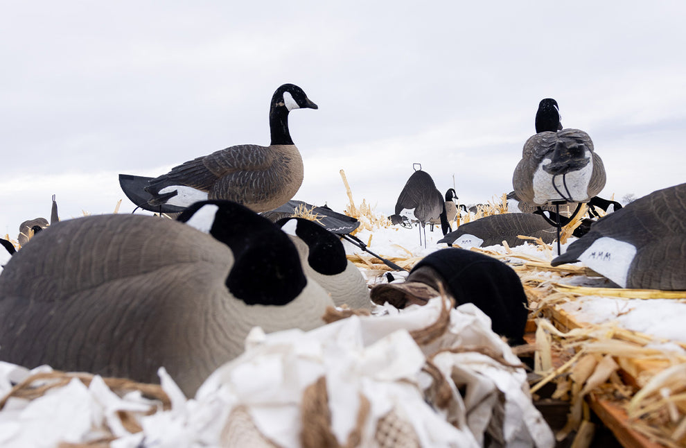 Pro Series Canada Goose Sleeper Shell – Tanglefree Shop