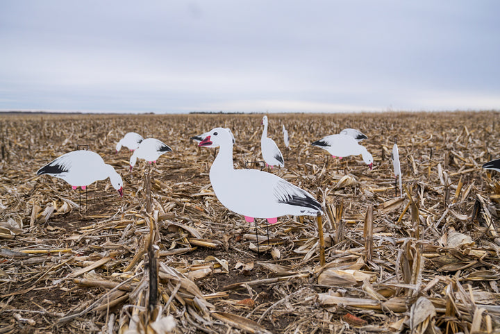 Snow Goose – Tanglefree Shop