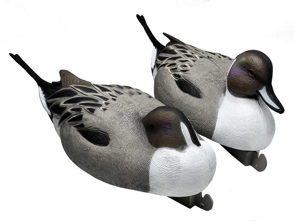 Pro Magnum Pintail Decoys 6-Pack – Tanglefree Shop