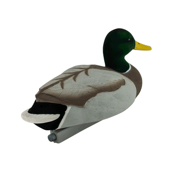 Mallard – Tanglefree Shop