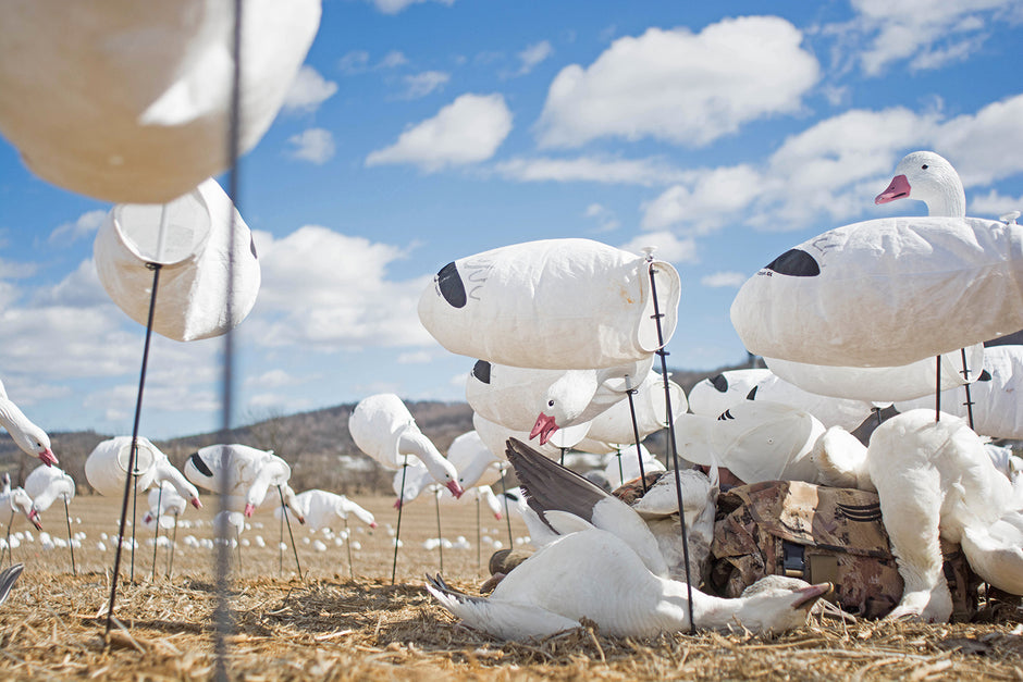 Slammer Sock Goose Decoys – Tanglefree Shop