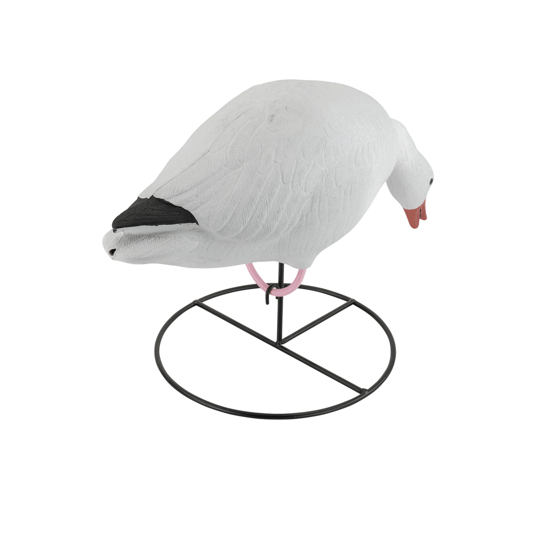 Snow Goose – Tanglefree Shop