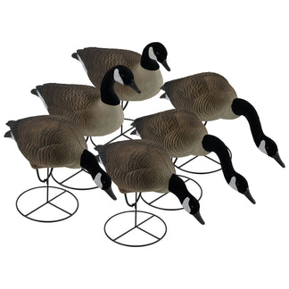 Pro Series Full Body Canada Goose Combo Pack – Tanglefree Shop