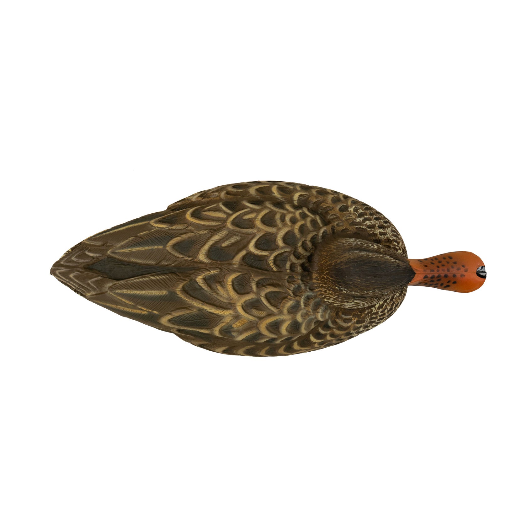 Flight Northern Shoveler (Spoonie) – Tanglefree Shop