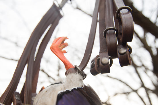 Leather Duck Strap – Tanglefree Shop