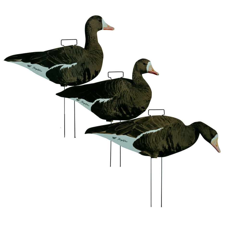 Specklebelly Goose – Tanglefree Shop