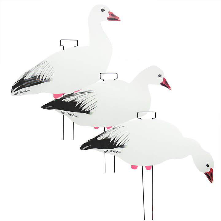 Snow Goose – Tanglefree Shop